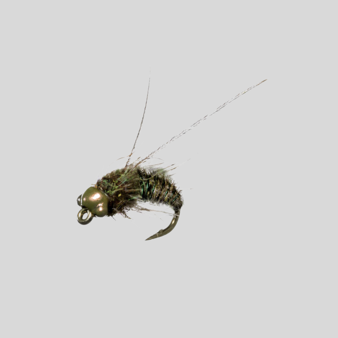 Nymph-Head® Evolution™ Caddis Pupa – Stillwater Fly Shop