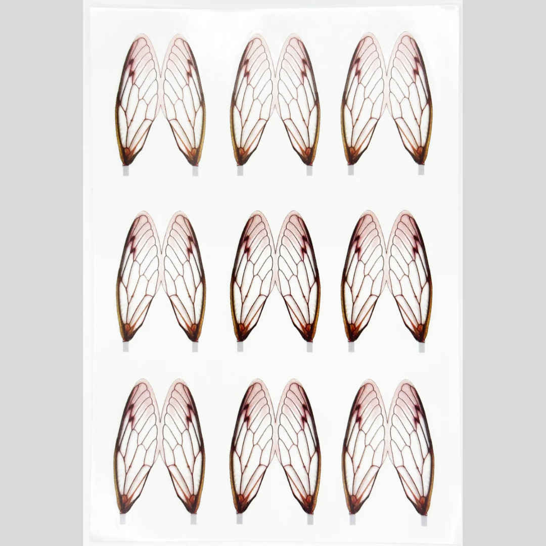 Surface Seducer® Cicada Wings – Stillwater Fly Shop