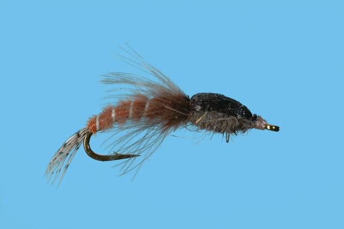 Solitude Callibaetis Emerger Nymph (E020) 6-Pack – Stillwater Fly Shop